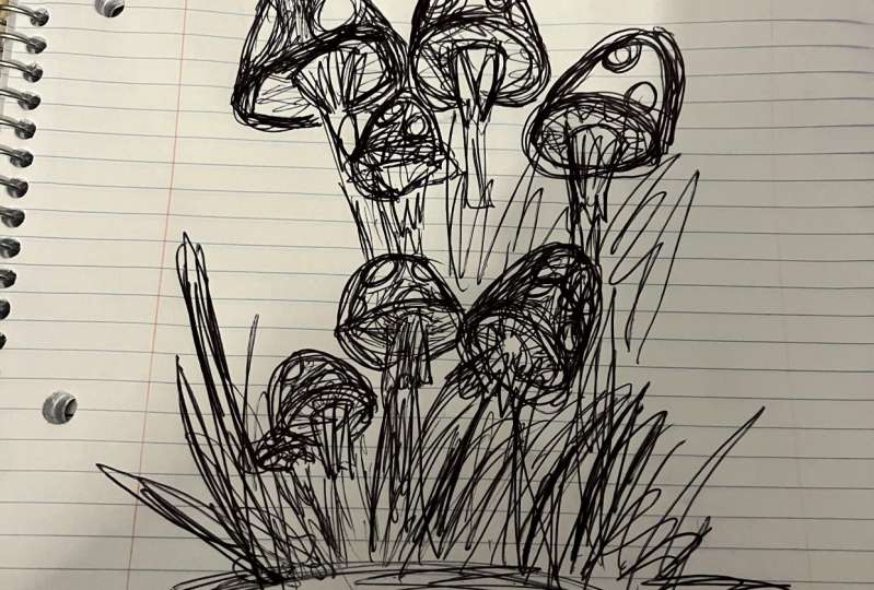 Pencil Drawing: How to Draw a Mushroom Step by Step Guide | Amelie ...