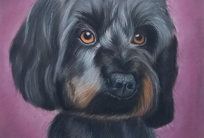 Retrato de animales realistas: Aprende a dibujar ojos de perro, nariz ...