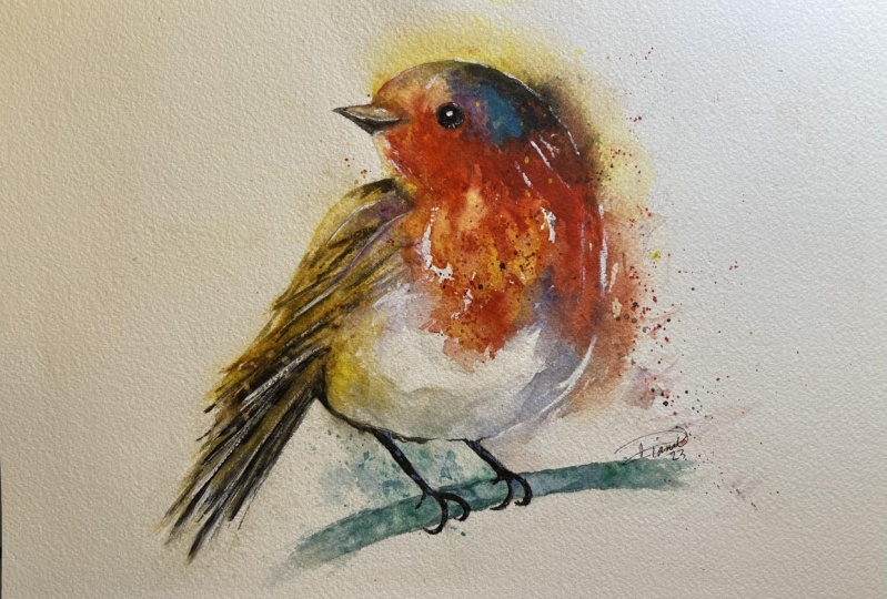 Learn to Paint Watercolor Birds: A Step-by-Step Painting of a Robin ...