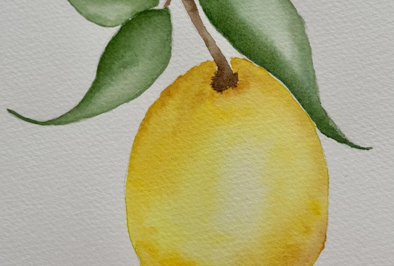 Intermediate Watercolor Techniques to Take your Art from Good to Great ...