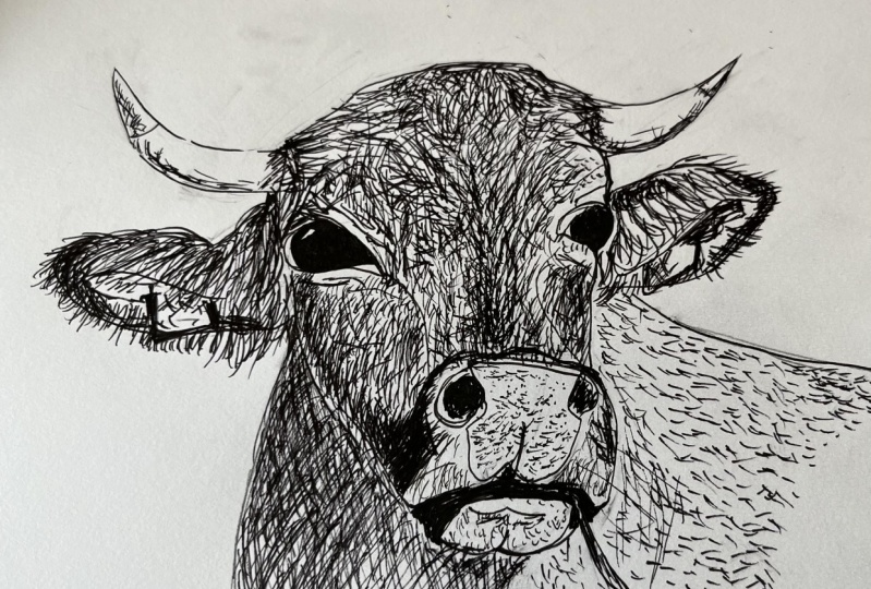 Drawing Animals in Pen and Ink: How to Achieve Realistic Textures in ...