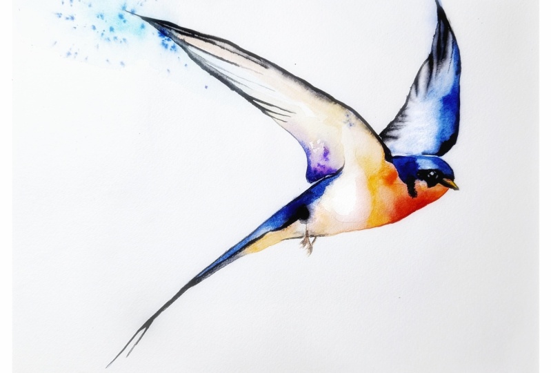Capturing Grace: Painting A Dynamic Swallow Step-by-Step in Watercolor ...