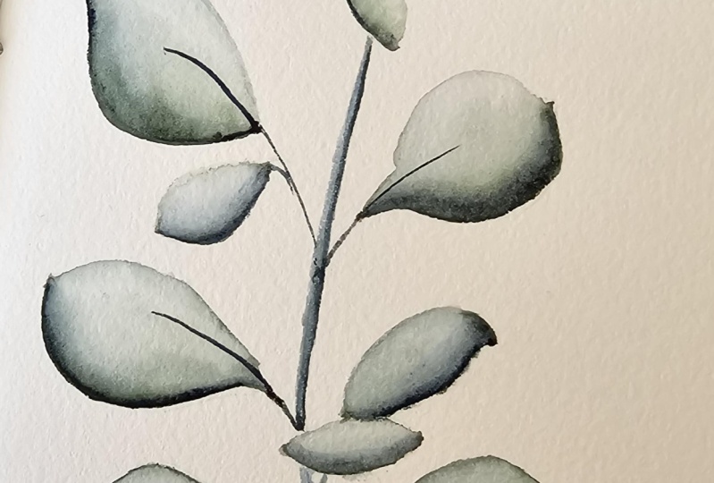 Intermediate Watercolor Techniques to Take your Art from Good to Great ...