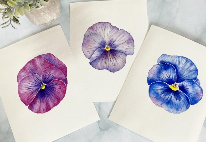 Botanical Illustration with Watercolour | A Trio of Pansies | Helen ...