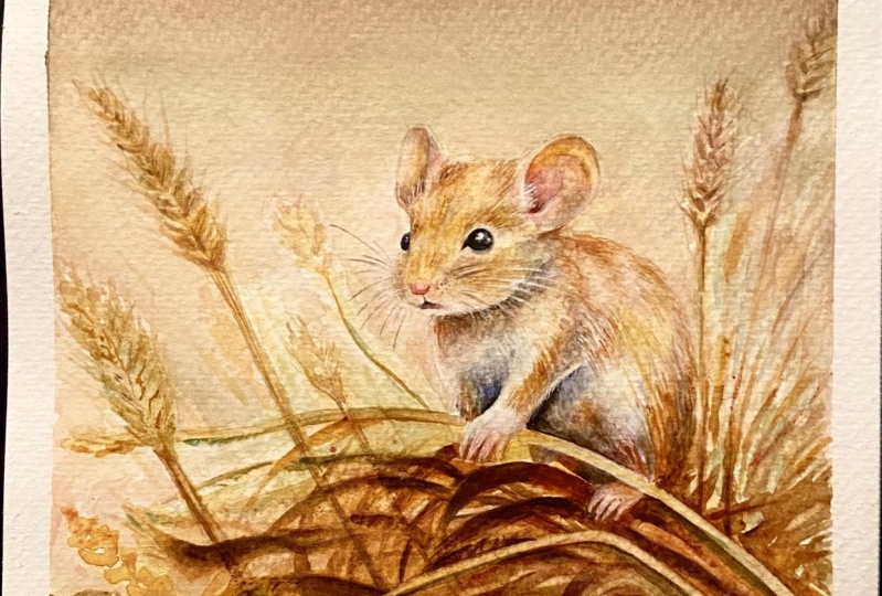 Whimsical Watercolor: Capturing the Charm of a Field Mouse Step-by-Step ...