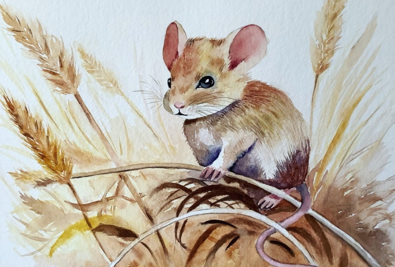 Whimsical Watercolor: Capturing the Charm of a Field Mouse Step-by-Step ...