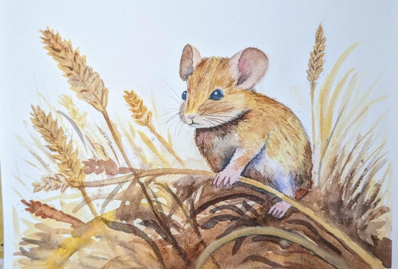 Whimsical Watercolor: Capturing the Charm of a Field Mouse Step-by-Step ...