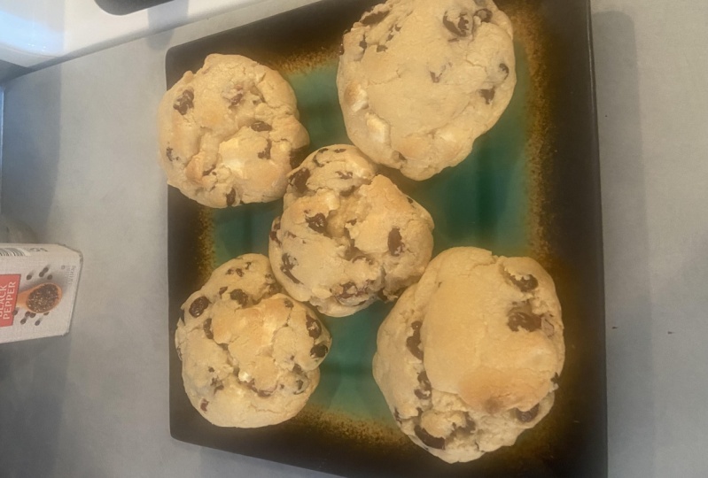 Big Fat Cookies: Make Bakery Style Cookies at Home! | Rita Nascimento ...