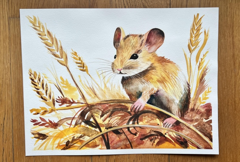 Whimsical Watercolor: Capturing the Charm of a Field Mouse Step-by-Step ...