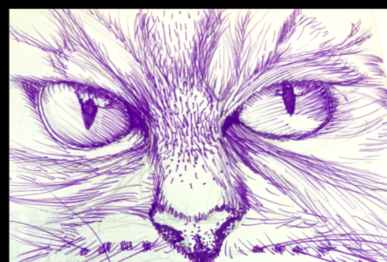 Drawing Animals in Pen and Ink: How to Achieve Realistic Textures in ...