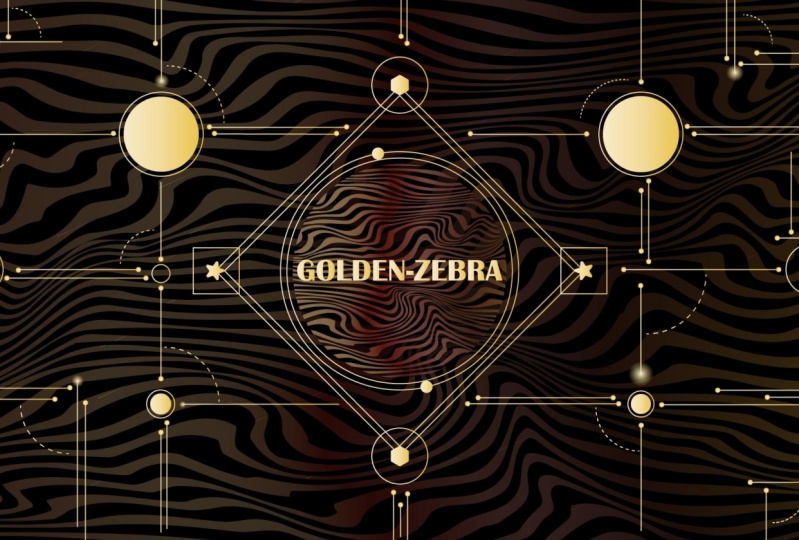 Styleframe Design for MotionGraphics in Adobe Illustrator | Marcos ...