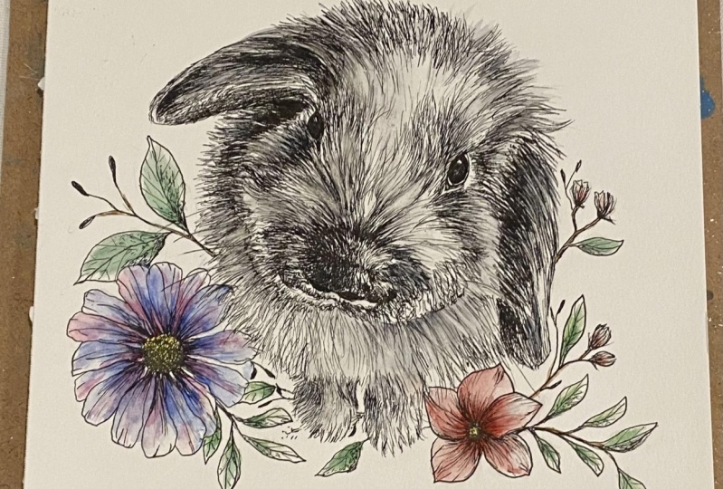 Drawing Animals in Pen and Ink: How to Achieve Realistic Textures in ...