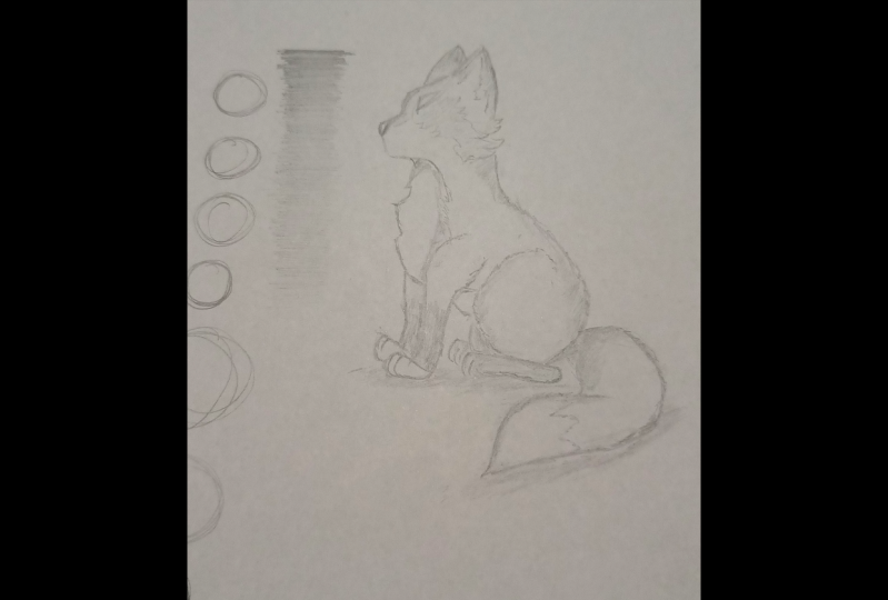 Sketching the Basics: How to Sketch Like a Pro | Doodle Noggin | Skillshare