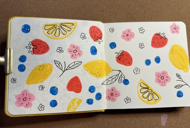 Beginners Guide to a Sketchbook Practice: 7 Day Daily Drawing Habit ...