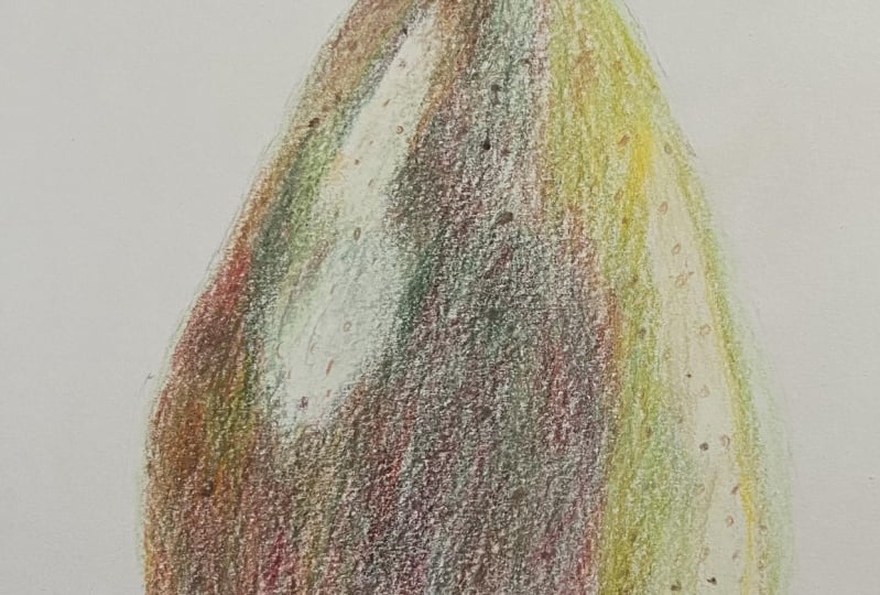 Beginner's Guide to Layering with Colored Pencils: Realistic Drawings ...