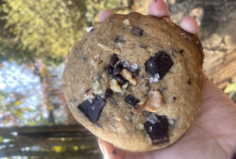 Big Fat Cookies: Make Bakery Style Cookies at Home! | Rita Nascimento ...