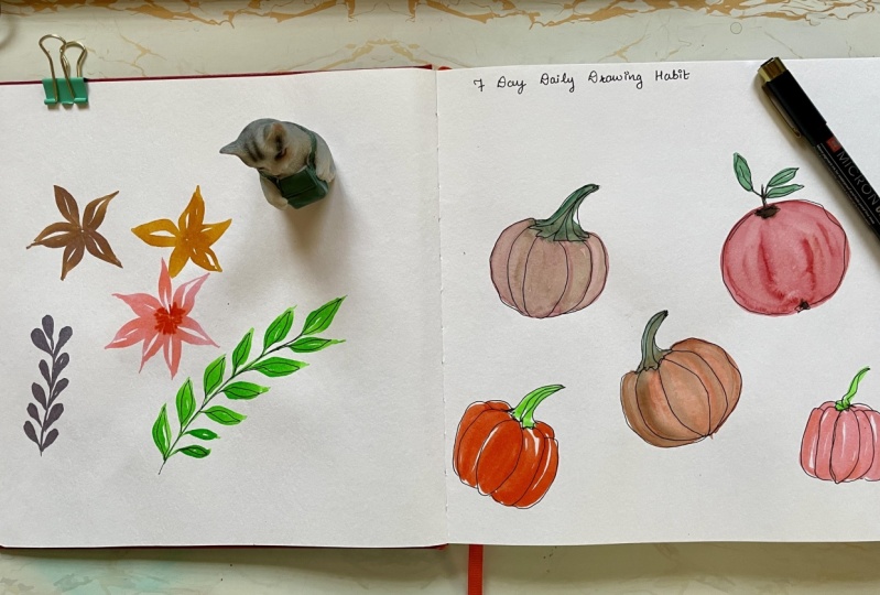 Beginners Guide to a Sketchbook Practice: 7 Day Daily Drawing Habit ...