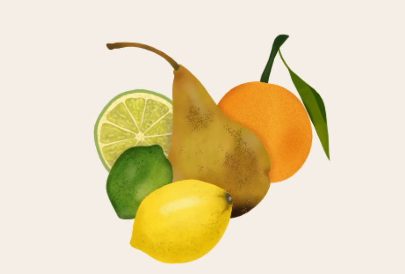 Simple + Easy Fruit Illustrations in Affinity Designer 2 | Jennifer ...