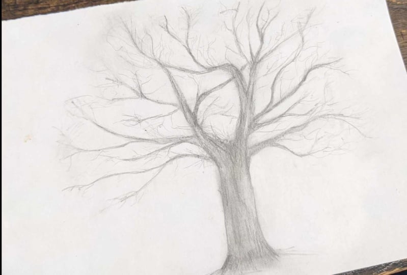Drawing Deciduous Trees: Pencil Drawing Practice | Kristina Moyor ...