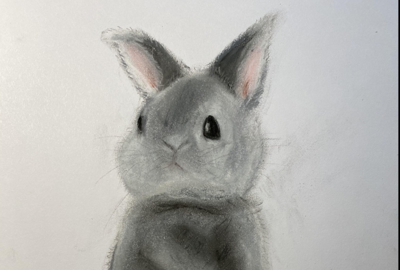 Soft Pastels for Beginners: Learn to Draw Easy Realistic Animals ...