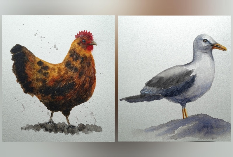 Pássaros em aquarela soltos - pinte como um profissional | Patrick Visser | Skillshare