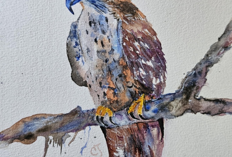 Majestic Falcons in Watercolor: Expressive Bird Painting Techniques ...