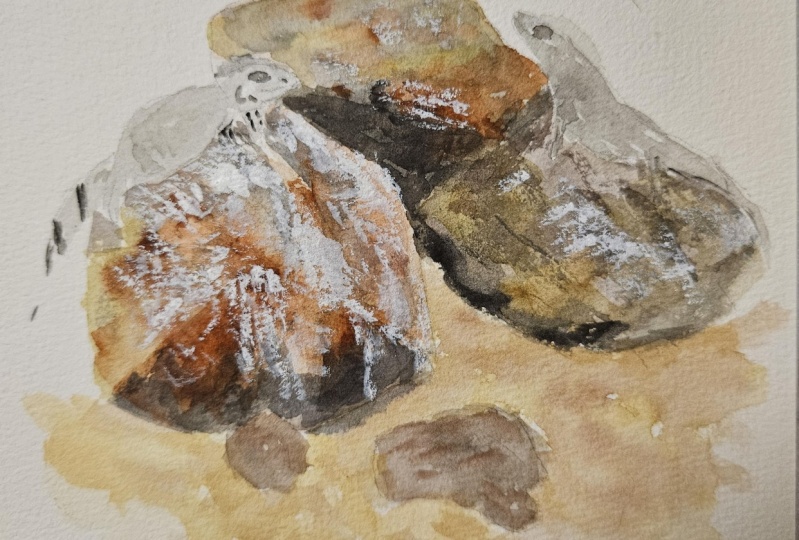 Rocks in Watercolour - 3 ways to paint every kind of rock | Patrick ...