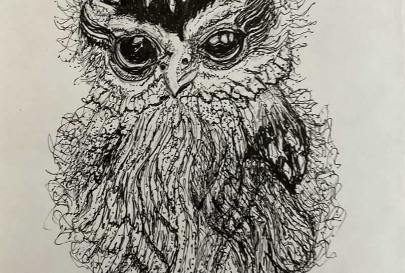 Drawing Animals in Pen and Ink: How to Achieve Realistic Textures in ...