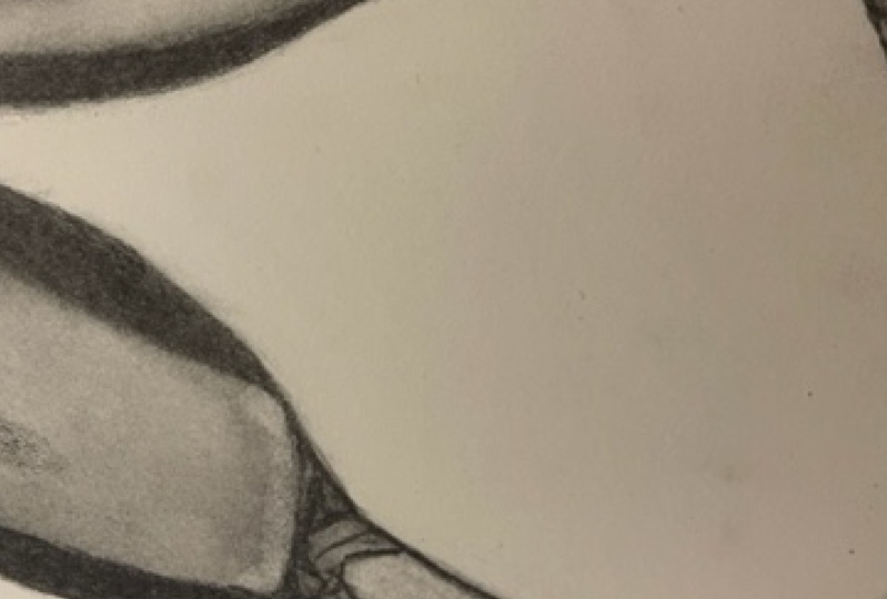 Realistic Drawings with Graphite Pencils: Drawing Wine Glasses | Gemma Chambers | Skillshare