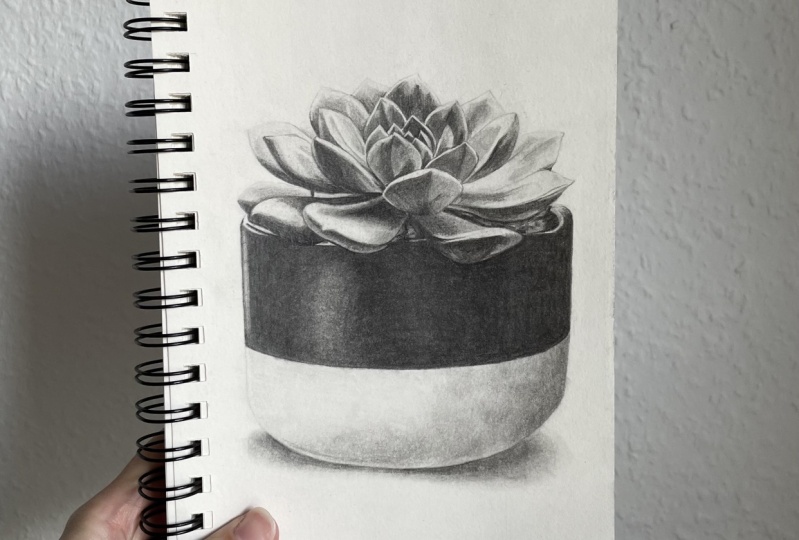 Beginner's Guide to Layering with Graphite Pencils: Realistic Drawings ...