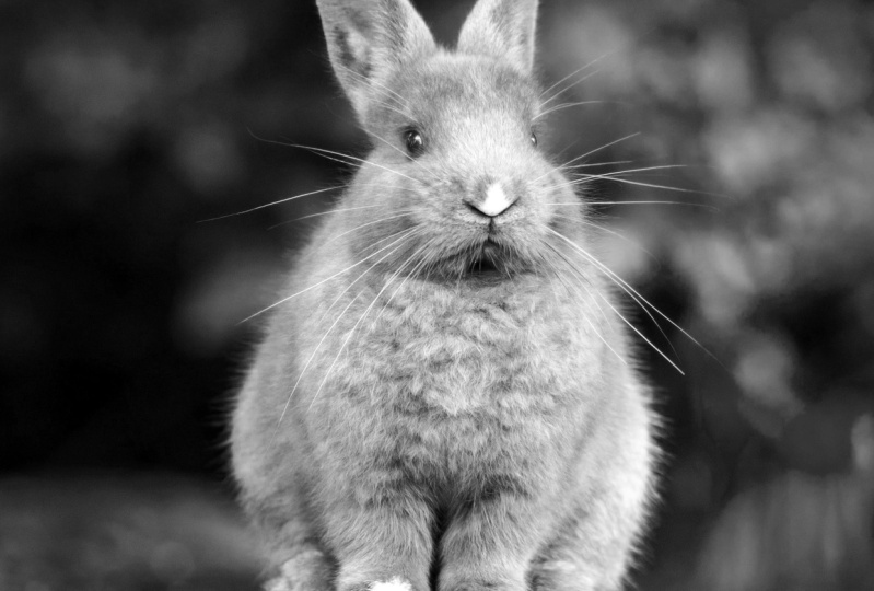 Affinity Photo for Beginners | Updated for Version 2 | Affinity ...