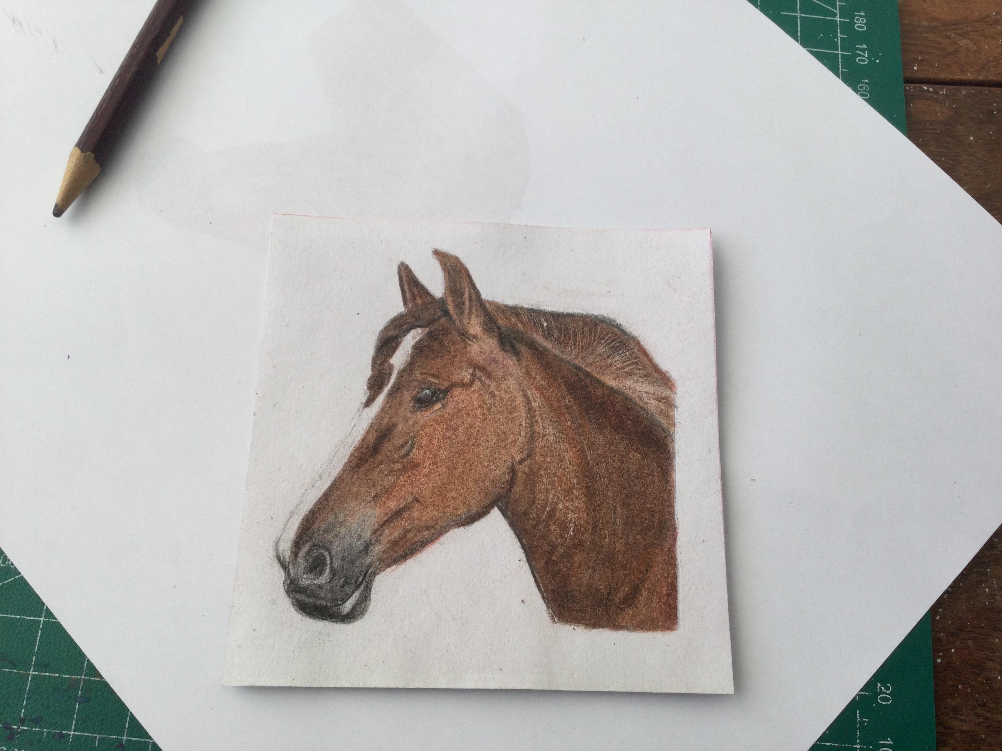 Dibujos A Lapiz De Caballos