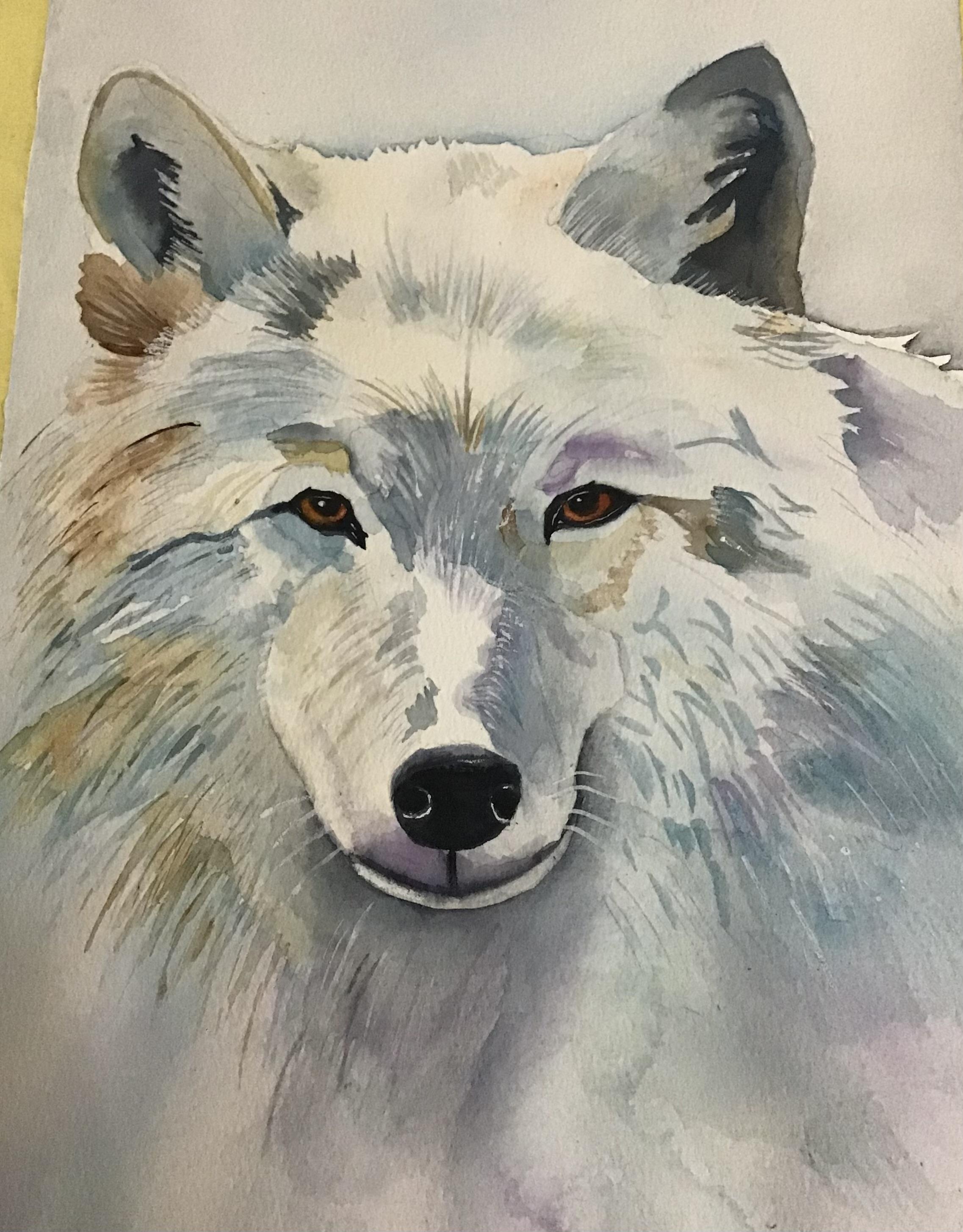 Lobo De Acuarela Corriendo