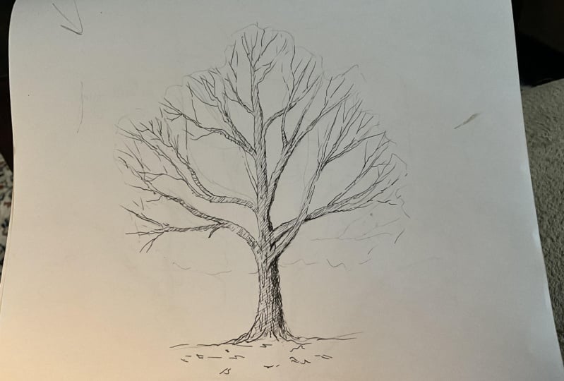 How to Draw Realistic Trees with Ink Pens: Observation, Shading, and ...