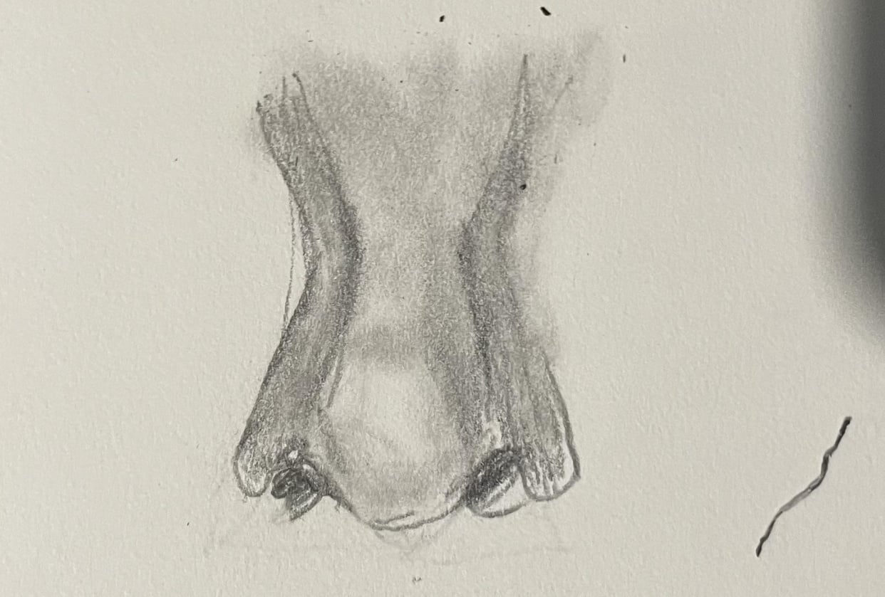 How To Draw A Realistic Female Nose how-to-draw-a-realistic-female-nose
