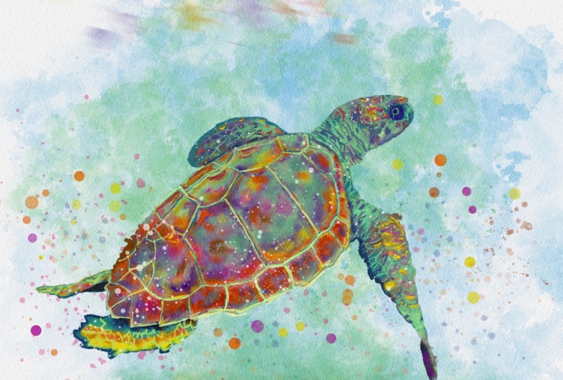 Dive into Watercolor: Paint Expressive Turtles with Harmonious Colors ...