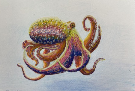 Realistic Posca Drawing