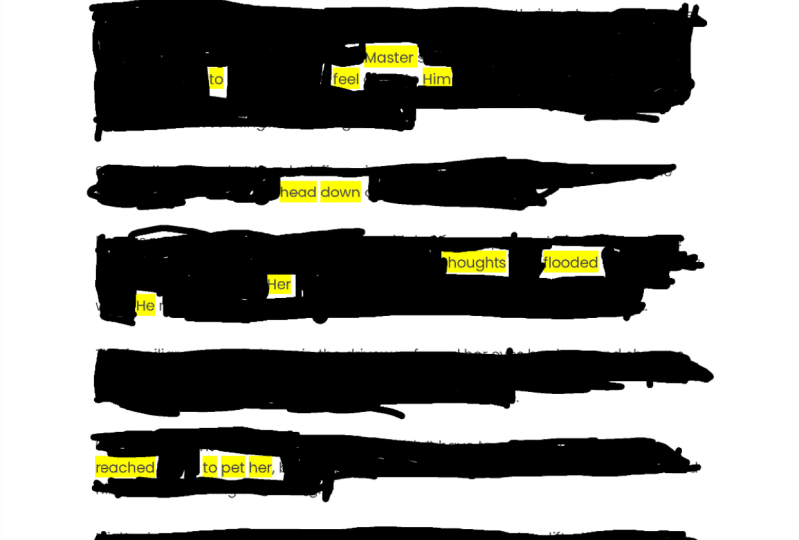 Blackout Poetry: Mastering the Technique of Erasure Poems | Nicole Mae ...