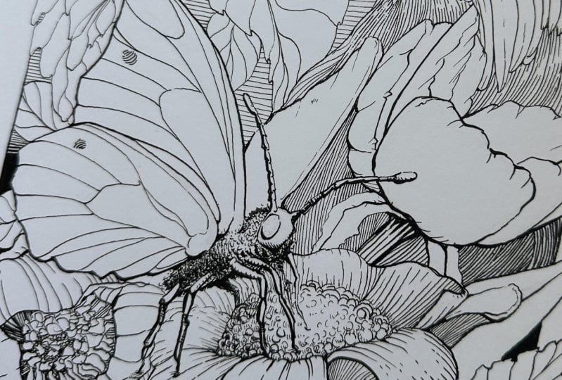 Explore Rendering in Pen and Ink | Subjects, Tools, and Techniques ...