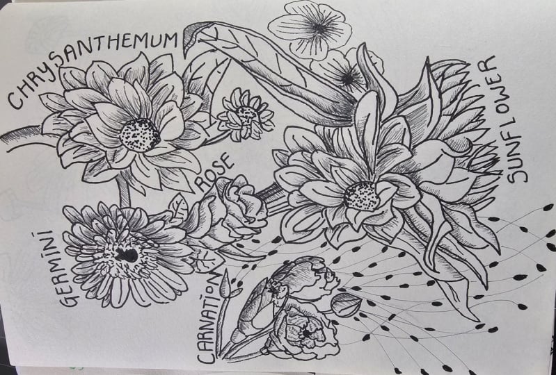 Start a Daily Sketchbook Habit with Botanical Drawings | Valeria ...