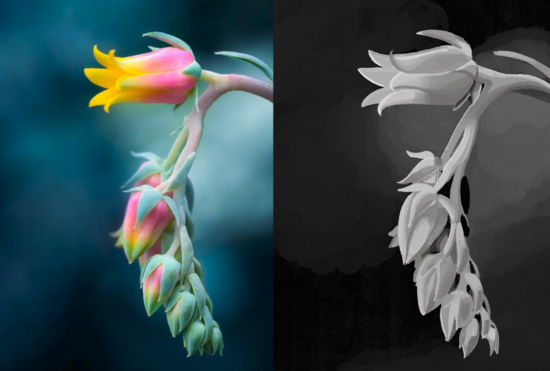 Color theory in Procreate - let's paint color studies! | Riso Chan | Skillshare