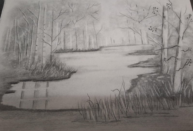 Drawing Techniques: Graphite Powder and Graphite Pencil. Quick and Easy ...