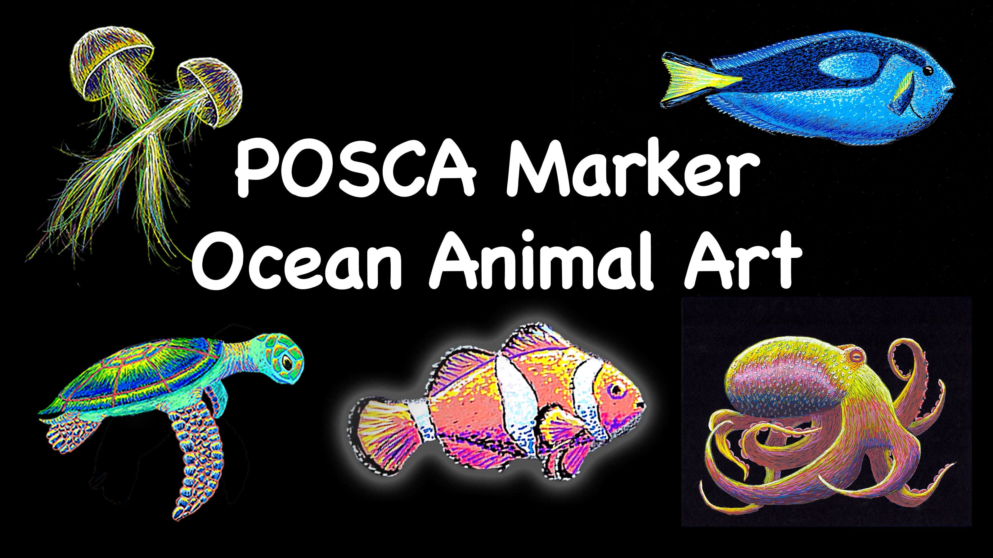 Draw Animals with POSCA Markers: Draw Ocean Creatures Step-by-Step ...