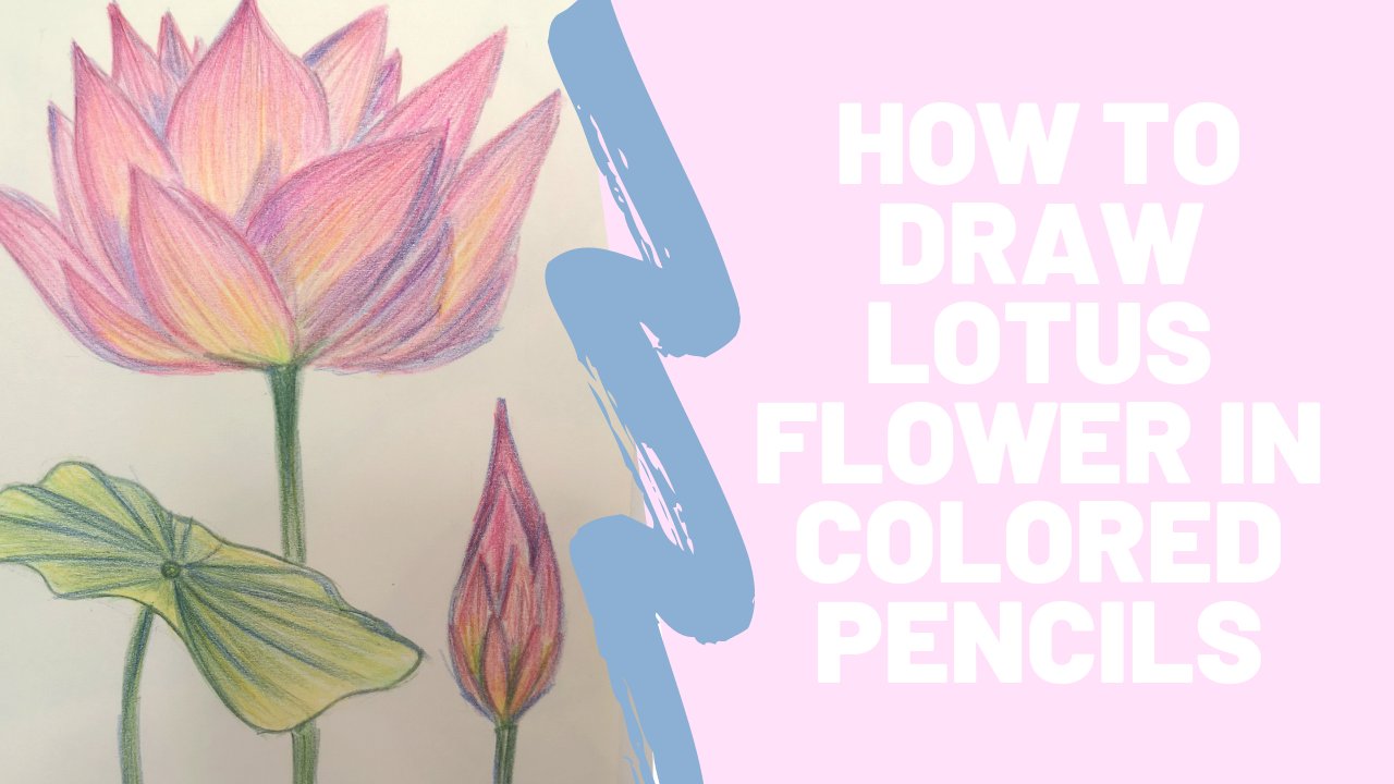 Lotus Flower Color Chart | Best Flower Site