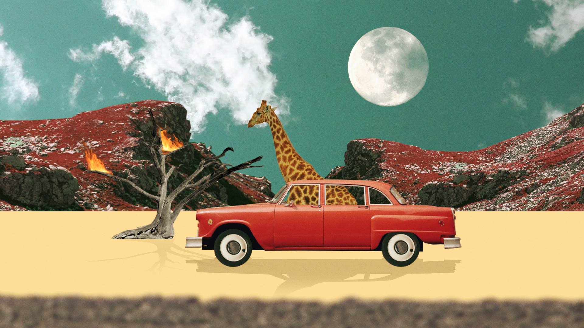collage-animation-creative-motion-graphics-with-photoshop-after-effects-carminys-guzman