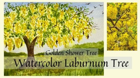 Watercolor Golden Shower - Laburnum tree, Amaltas, Cassia Fistula ...