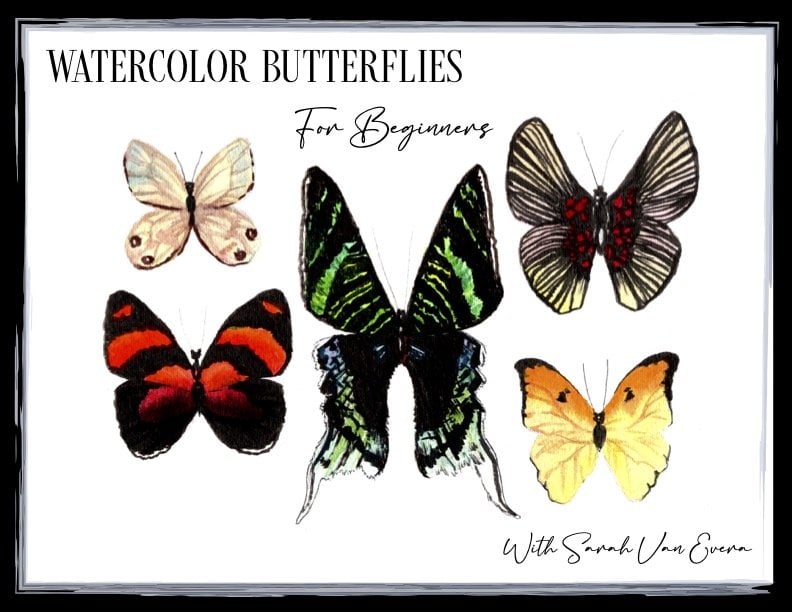 Painting Butterflies For Beginners - Watercolor Class | Sarah Van Evera ...