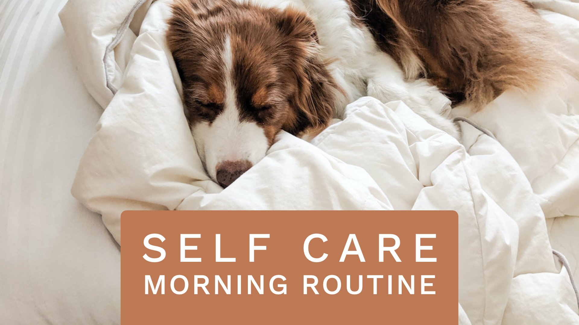 Crie uma rotina de 15 minutos matinais de autocuidados | Jenna Hellberg | Skillshare