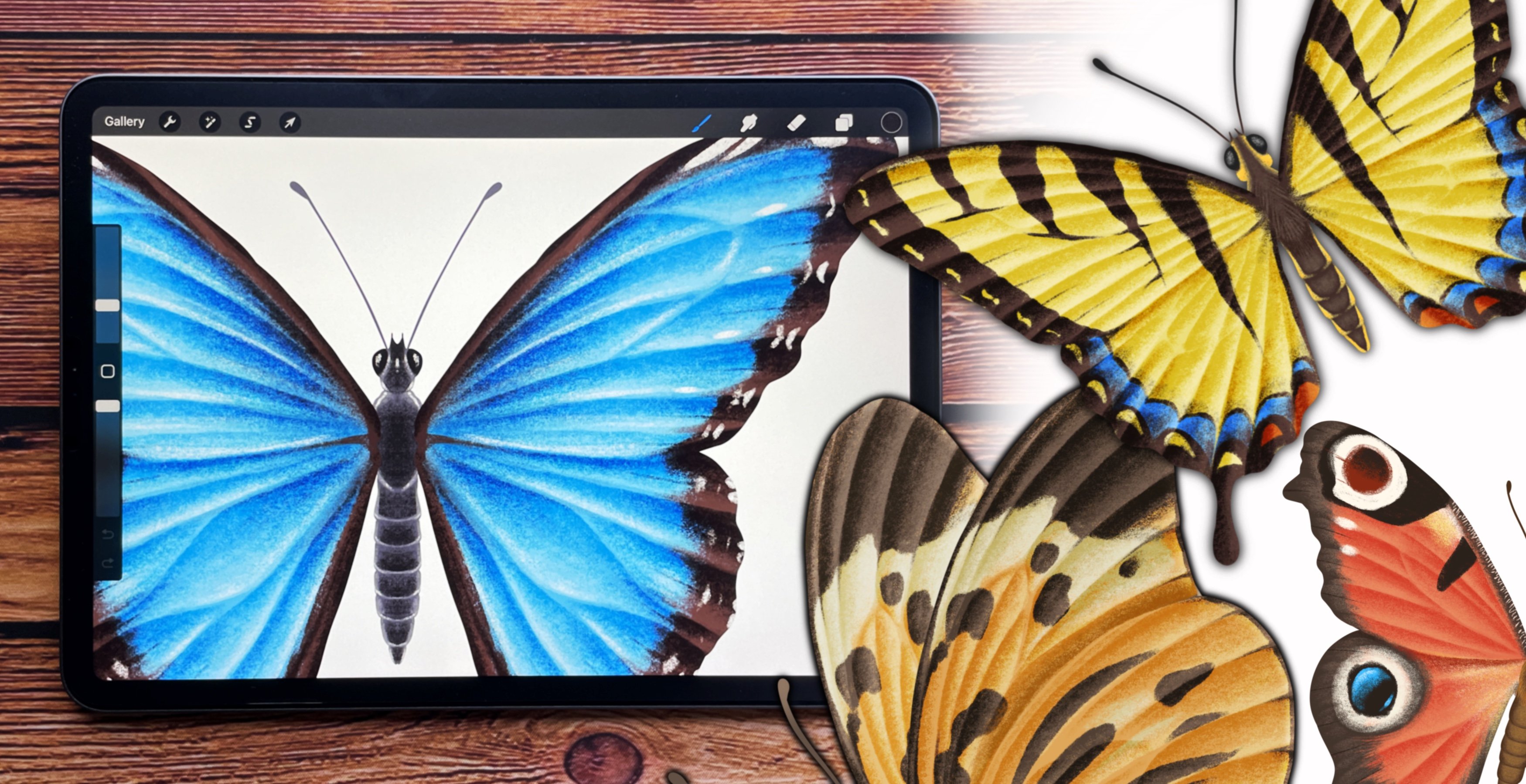 Illustrate Butterflies And 3 Ways To Animate In Procreate + Guideline ...