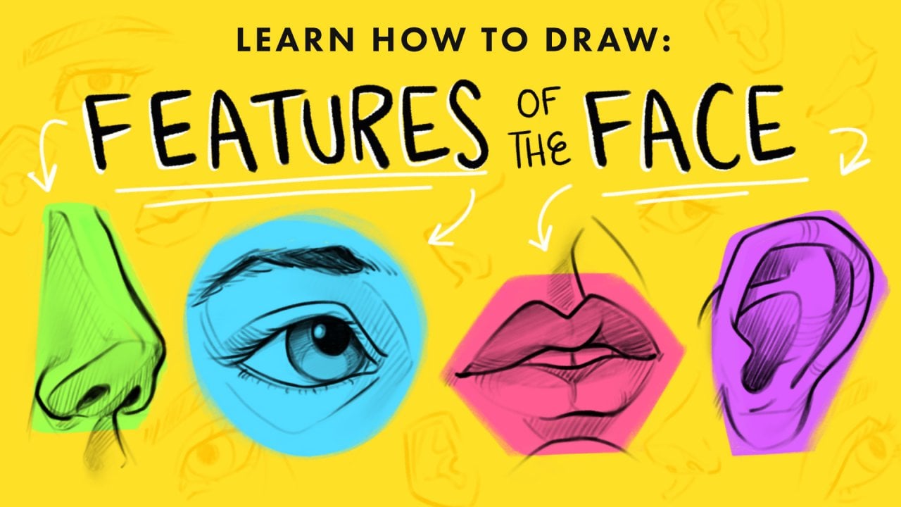 A Beginners Guide To Drawing Facial Features Dibujos A